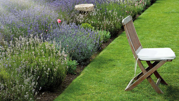 Giardinaggio per principianti - Blog - Prato e Giardino - Honda